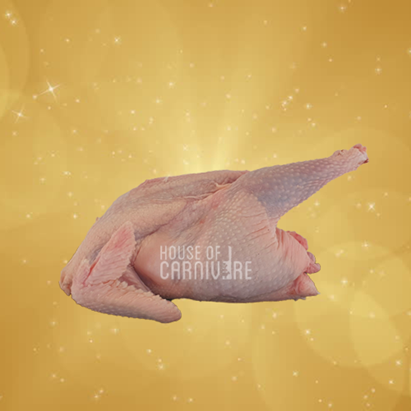 Chicken Boiler 老鸡 – House of Carnivore