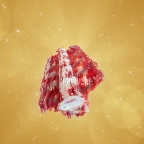 Lamb-Spine-Bone – House of Carnivore